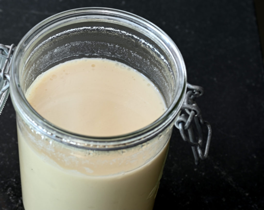 Chickpea Yogurt & Cultured Tofu - Gourmet Vegetarian Kitchen
